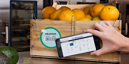 Die Fair-Trade-Datenbank