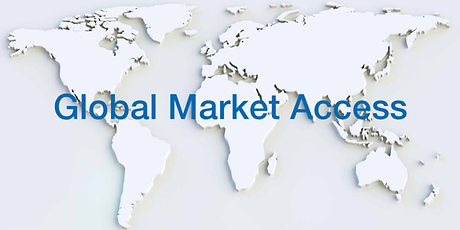 Global Market Access