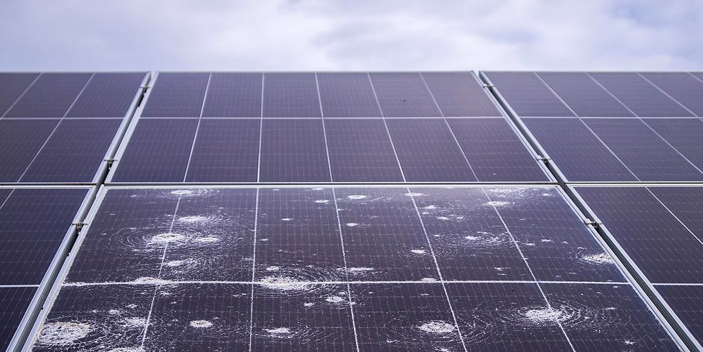 VDE Americas goes global to meet rising demand for Hail Risk Intelligence