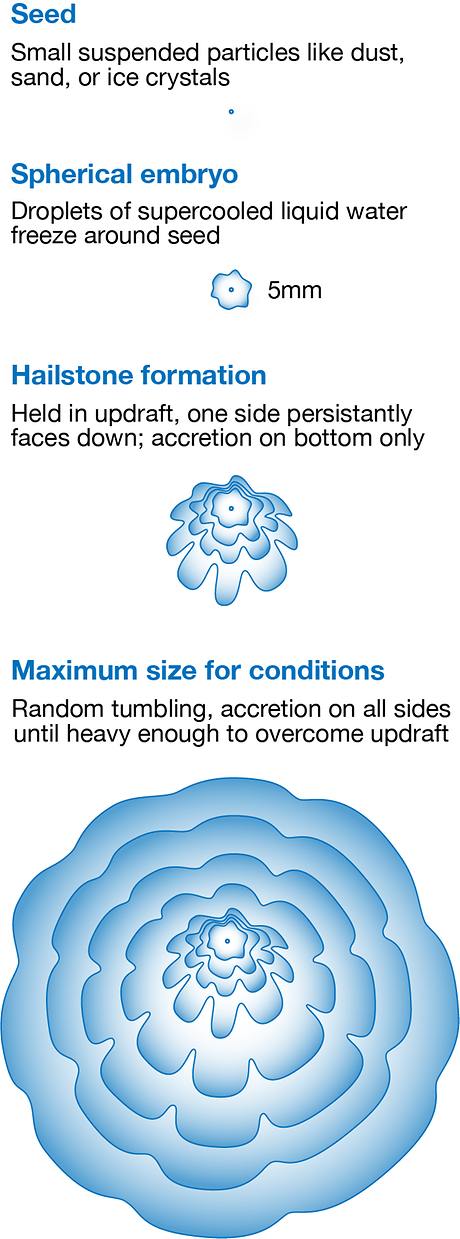 Hail formation in severe convective storms